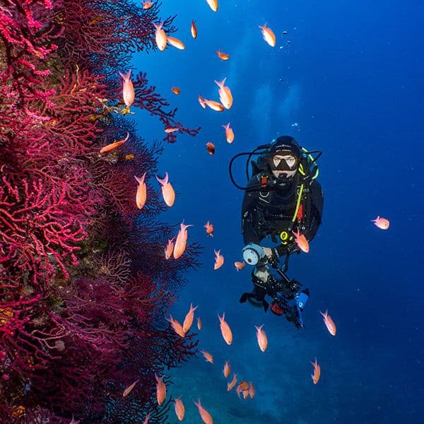 Recreational and professional diving with Dune Club France